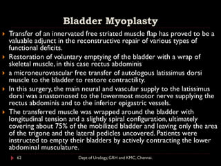 Bladder neurogenic- management- surgical | PDF