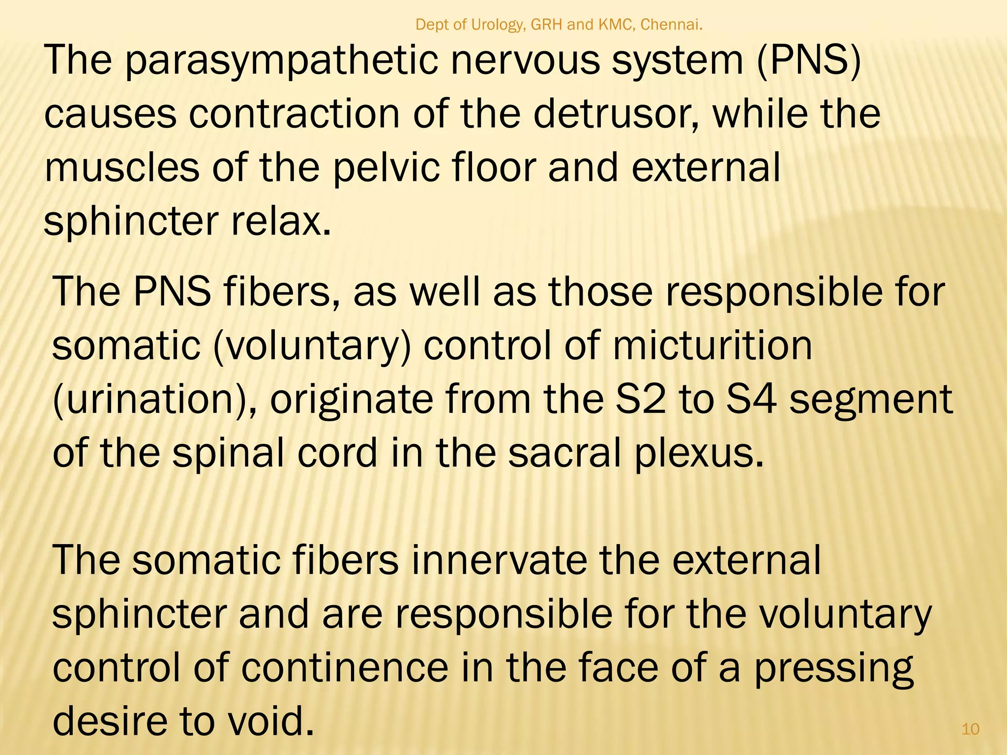 Bladder OVERACTIVE BLADDER (OAB)- overview | PDF