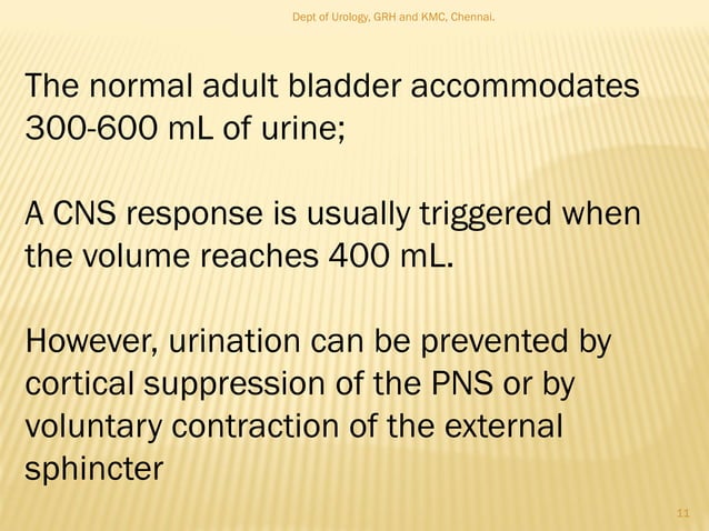 Bladder OVERACTIVE BLADDER (OAB)- overview | PDF | Brain and Nervous System Disorders | Diseases ...