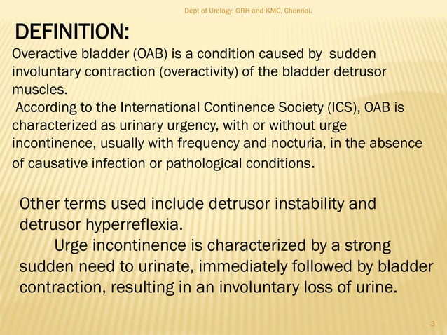 Bladder OVERACTIVE BLADDER (OAB)- overview | PDF | Brain and Nervous ...