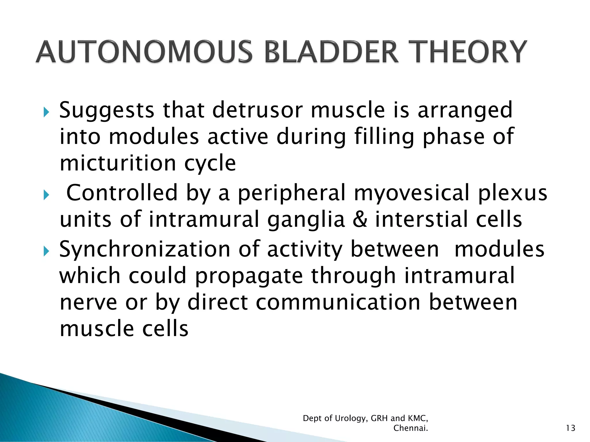 Bladder Over Active Bladder(OAB)- pathophysiolog | PDF