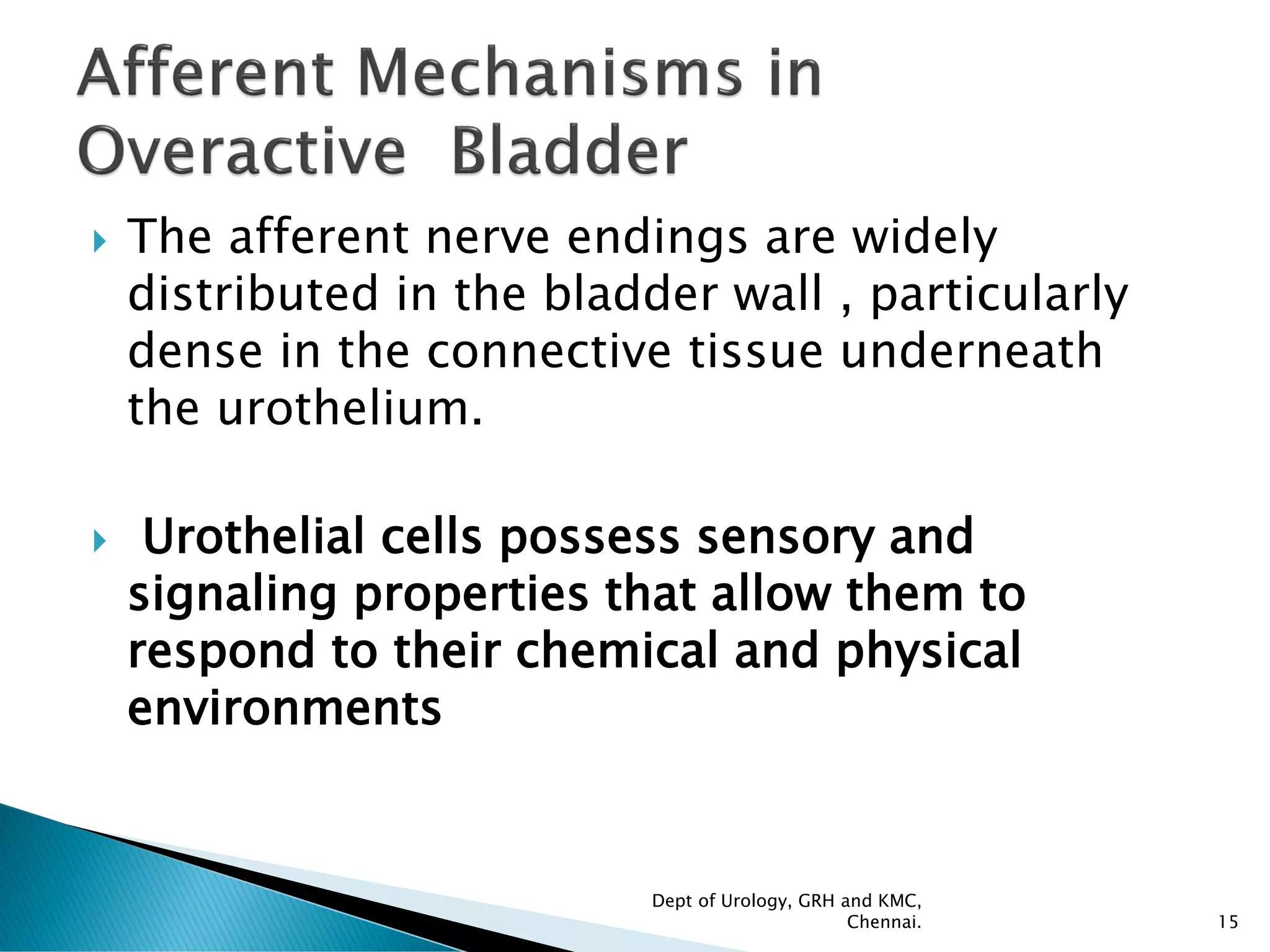 Bladder Over Active Bladder(OAB)- pathophysiolog | PDF