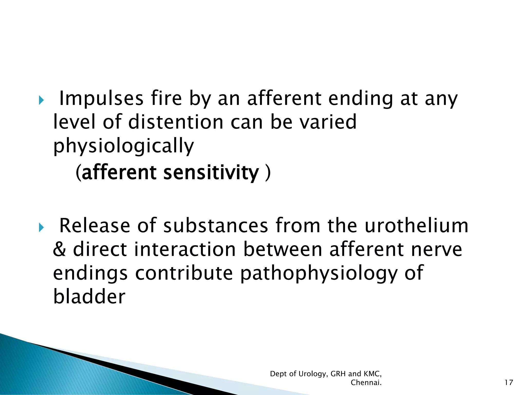 Bladder Over Active Bladder(OAB)- pathophysiolog | PDF