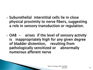 Bladder Over Active Bladder(OAB)- pathophysiolog | PDF