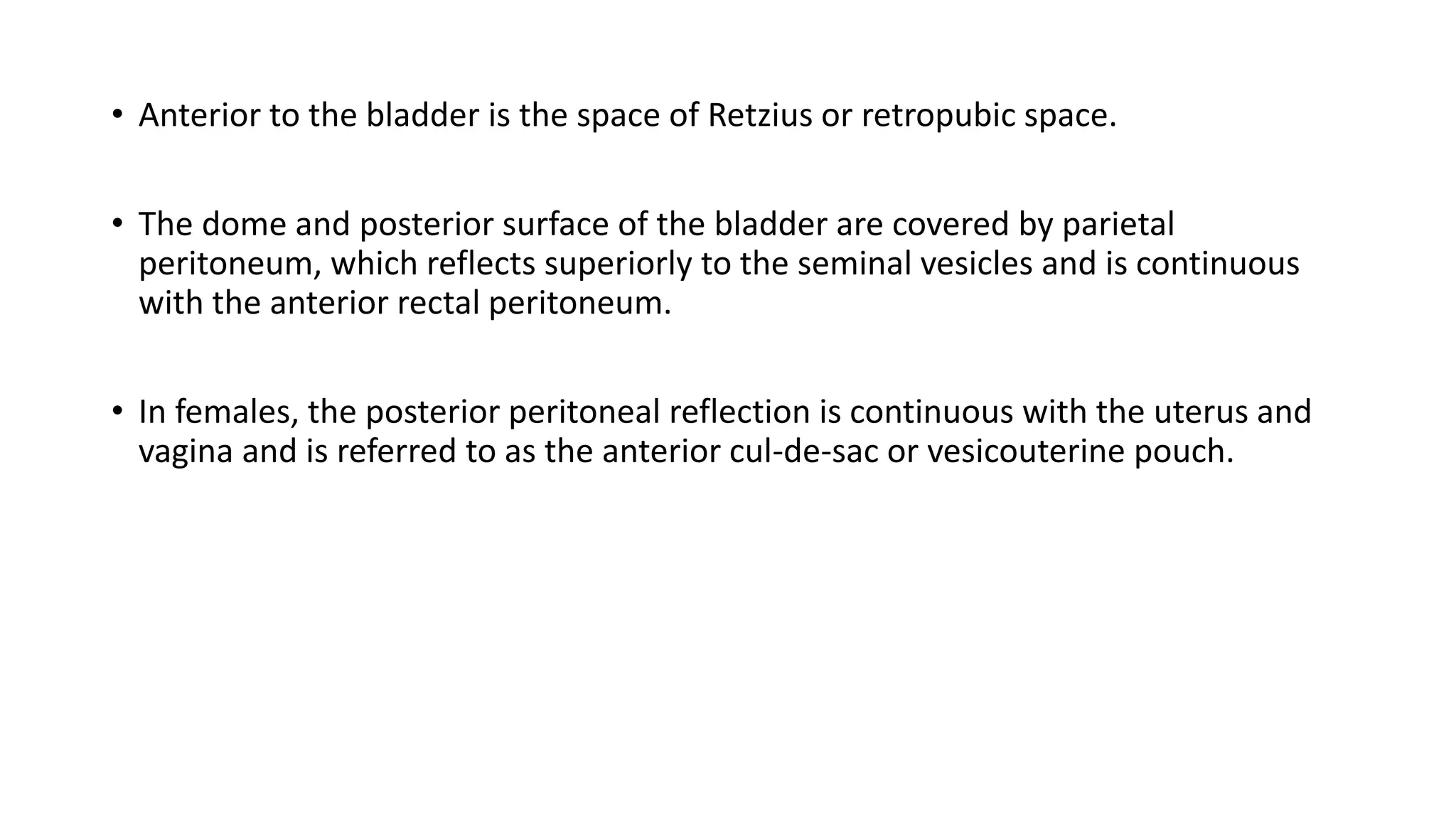 Anatomy & embryology of urinary bladder | PPTX
