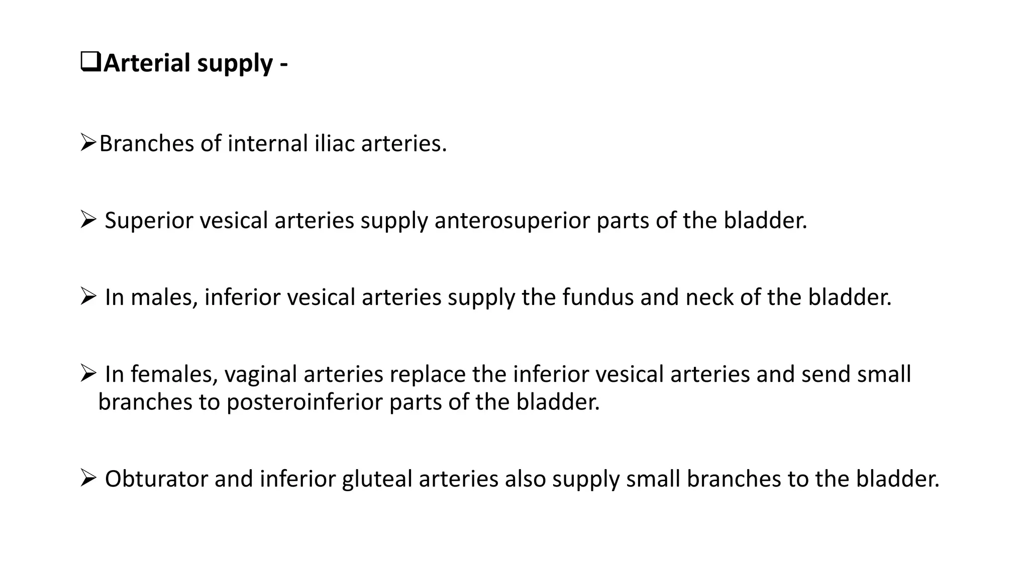 Anatomy & embryology of urinary bladder | PPTX