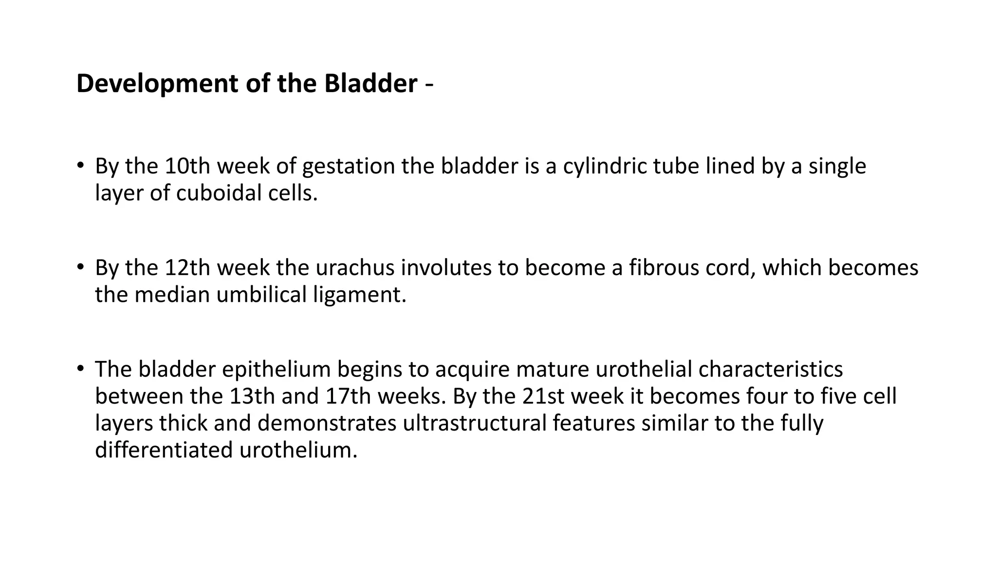 Anatomy & embryology of urinary bladder | PPTX