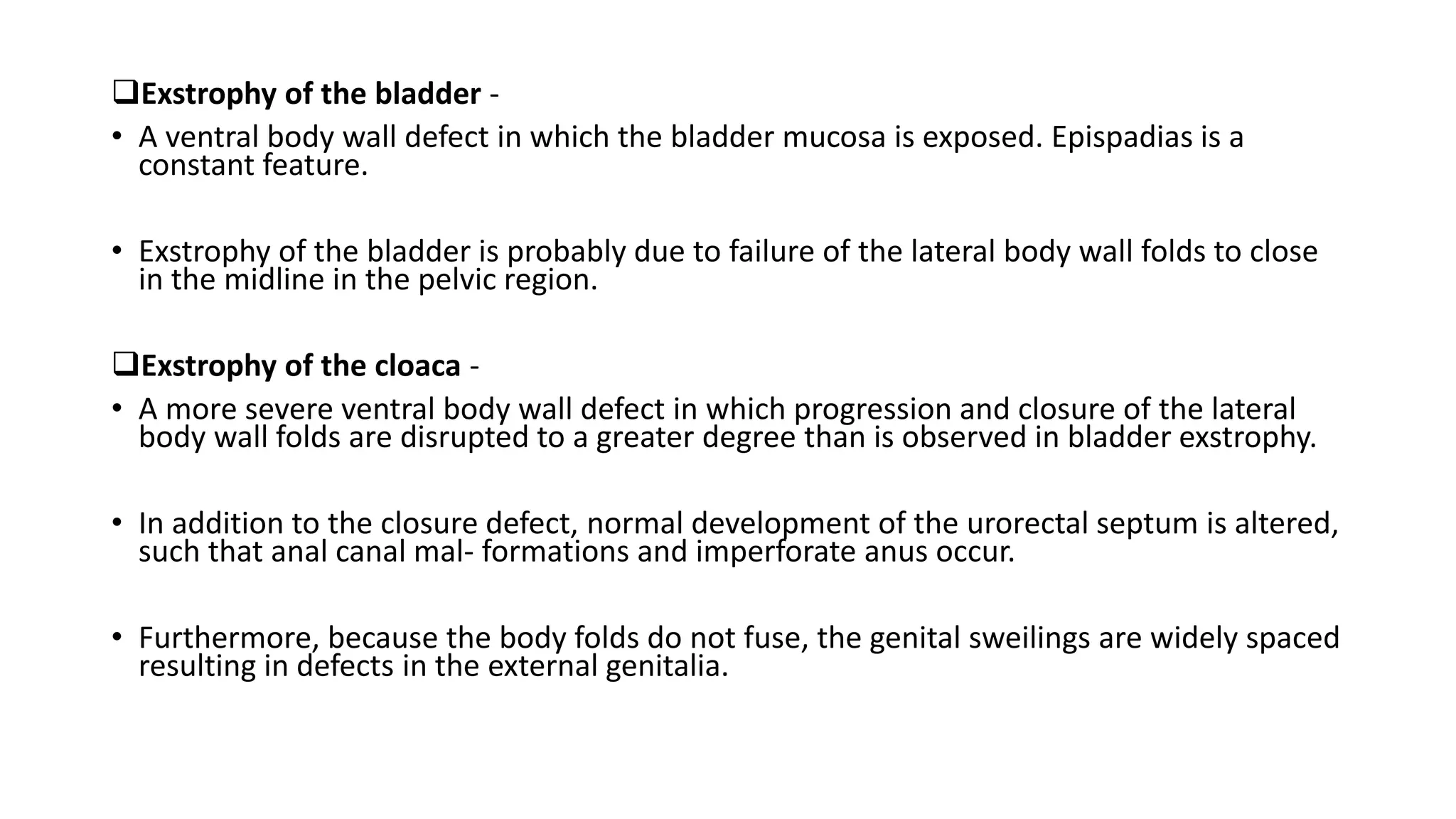 Anatomy & embryology of urinary bladder | PPTX