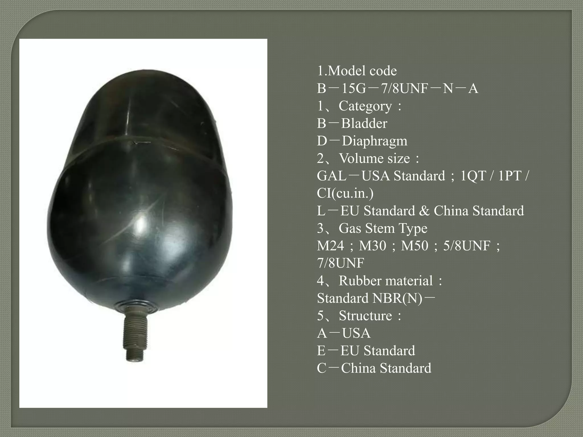 Bladder and Diaphragm.pptx