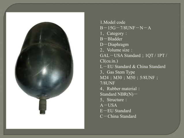 Bladder and Diaphragm.pptx