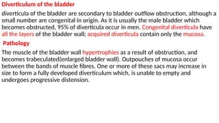 bladder and prostate surgery examination.pptx