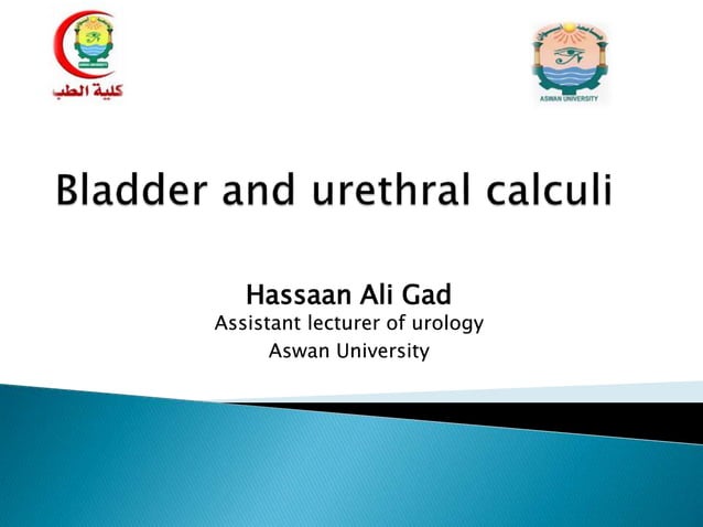 Bladder and urethral calculi | PPTX | Digestive Disorders | Diseases ...