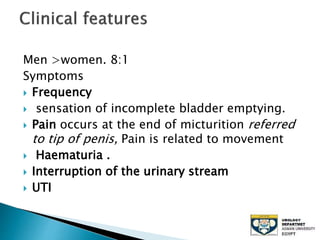 Bladder and urethral calculi | PPTX