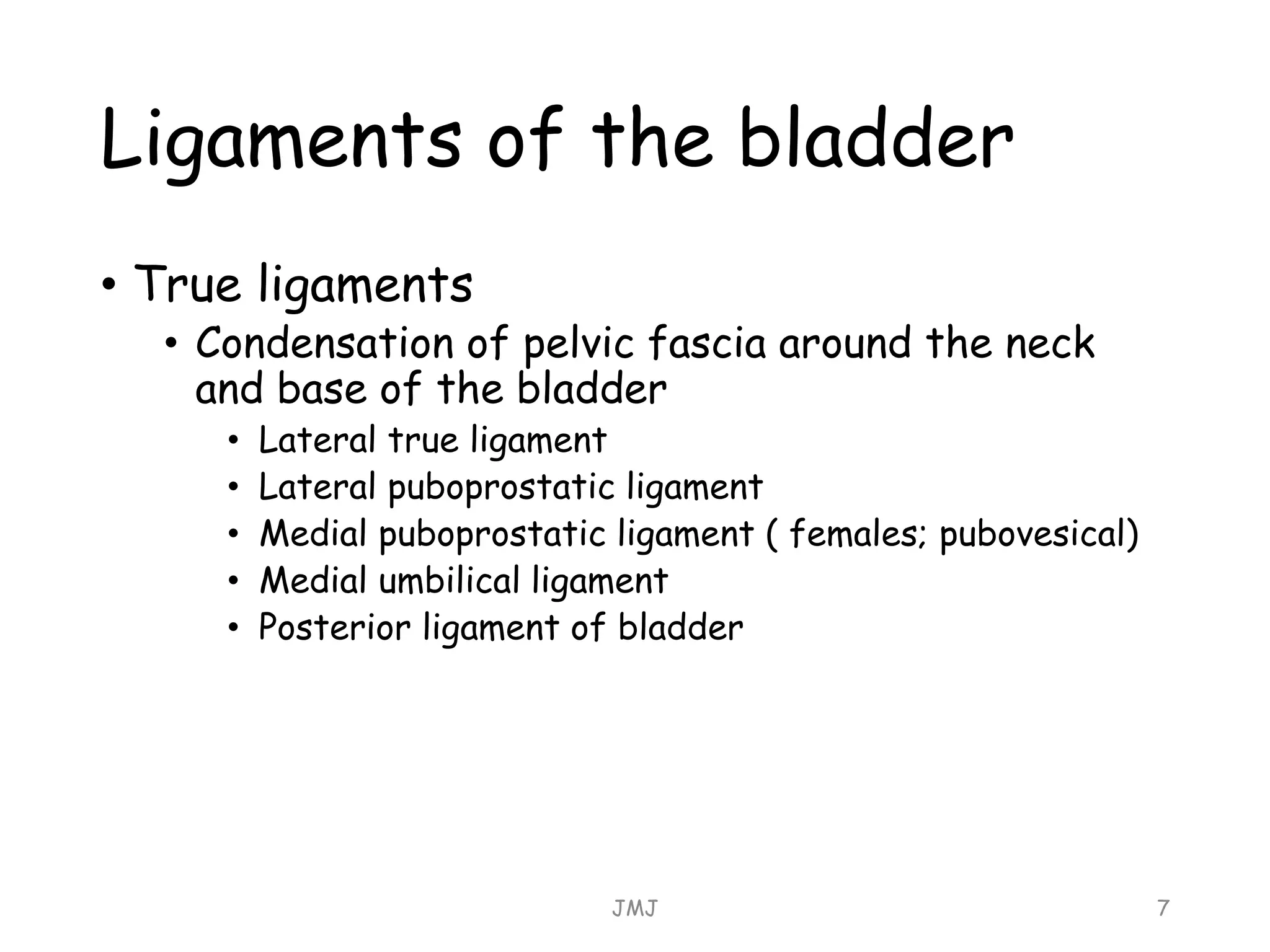 Bladder Anatomy and Bladder Outlet Obstruction | PPTX