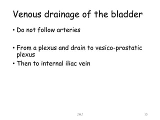 Bladder Anatomy and Bladder Outlet Obstruction | PPTX