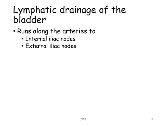 Bladder Anatomy and Bladder Outlet Obstruction | PPTX | Reproductive ...