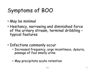 Bladder Anatomy and Bladder Outlet Obstruction | PPTX