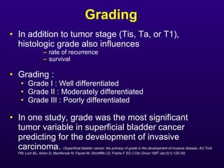 Bladder cancer | PPT