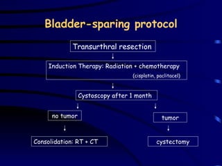 Bladder Cancer | PPT