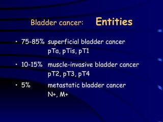 Bladder Cancer | PPT