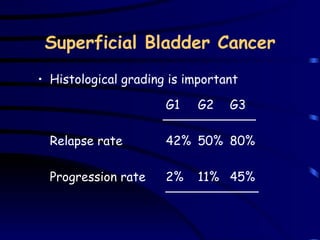 Bladder Cancer | PPT