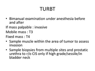 Bladder cancer | PPTX