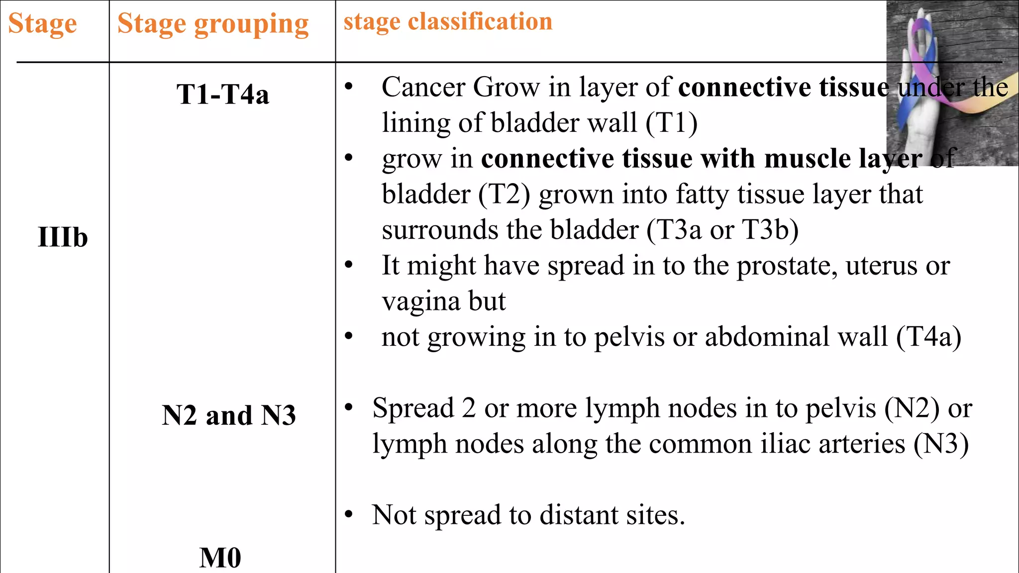 Bladder cancer | PPTX