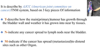Bladder cancer | PPTX