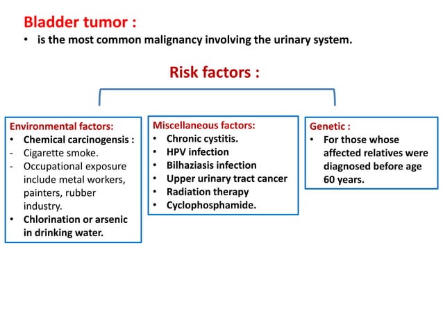 Bladder cancer | PPT