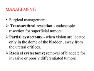 Bladder cancer | PPT