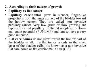 Bladder cancer.pptx