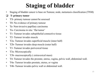 Bladder cancer.pptx