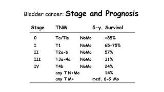Bladder Cancer risk factors pathophysiology and treatment | PPTX