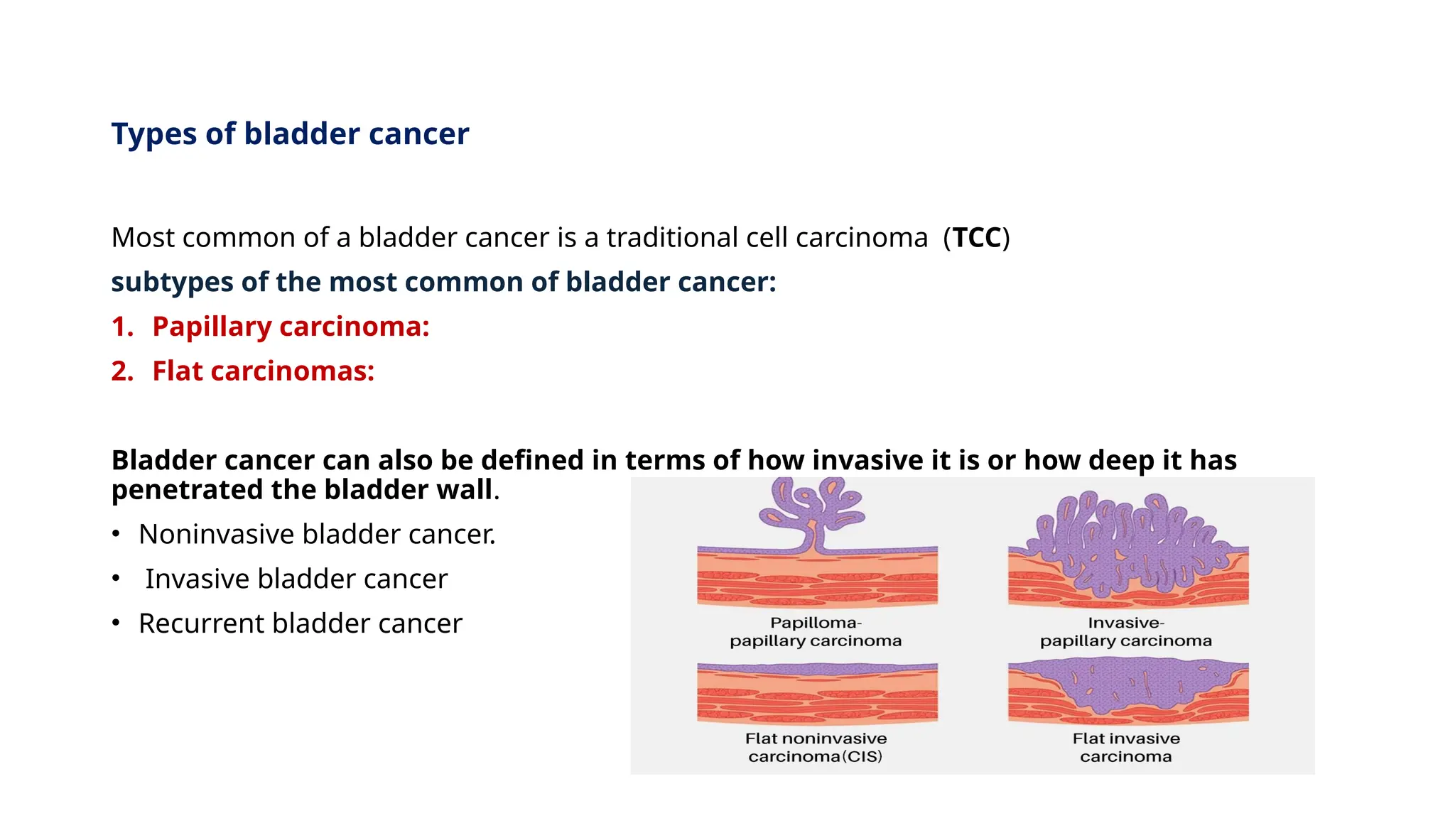 bladder cancer for nurses students presentation | PPTX