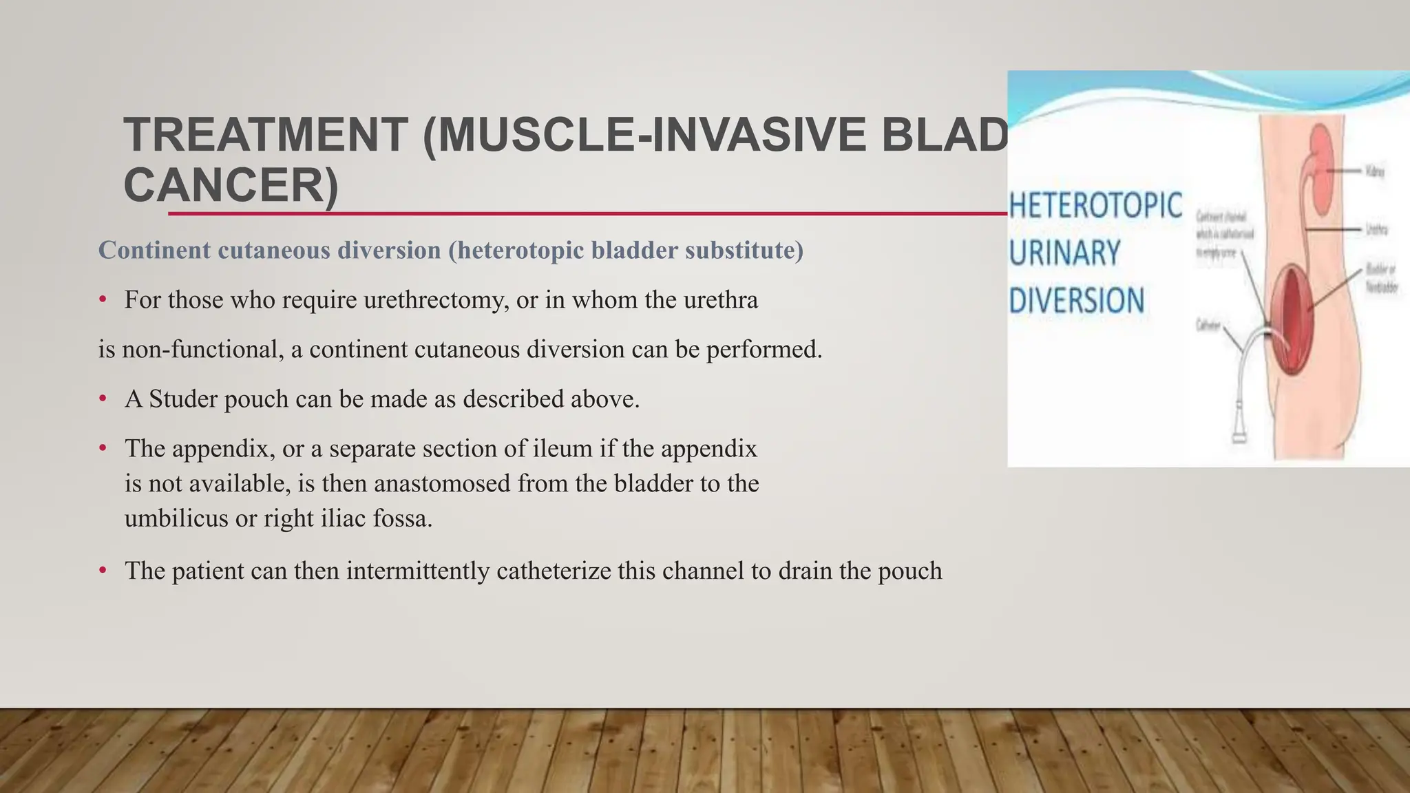 Bladder Cancer (Carcinoma Bladder) Urology | PPTX
