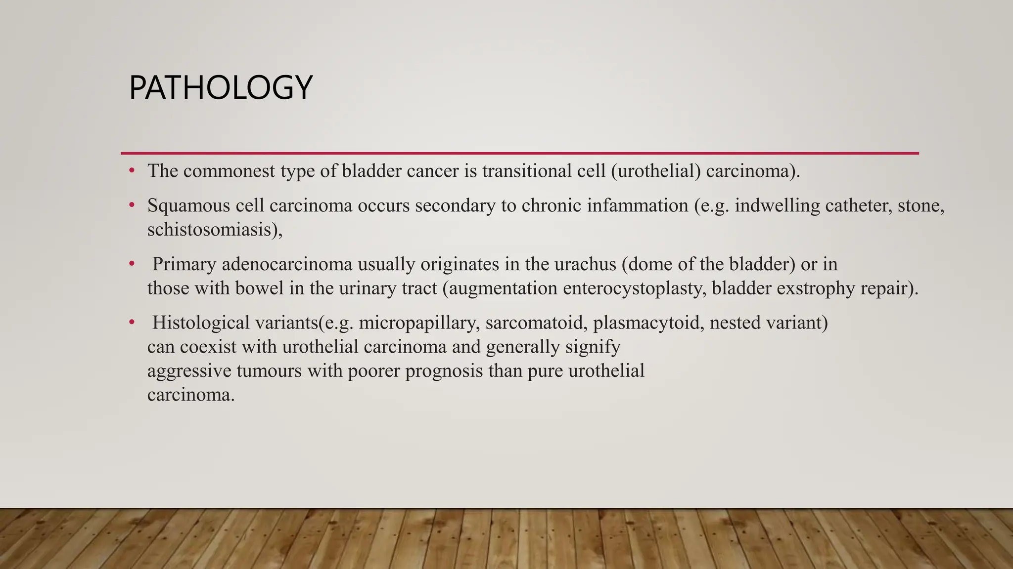 Bladder Cancer (Carcinoma Bladder) Urology | PPTX