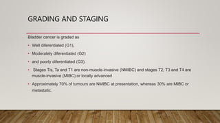 Bladder Cancer (Carcinoma Bladder) Urology | PPTX