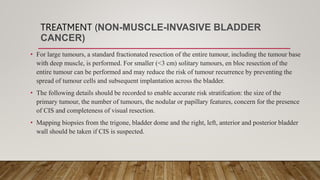 Bladder Cancer (Carcinoma Bladder) Urology | PPTX