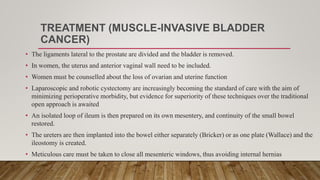 Bladder Cancer (Carcinoma Bladder) Urology | PPTX