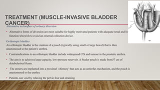 Bladder Cancer (Carcinoma Bladder) Urology | PPTX