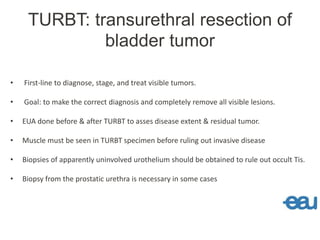 Urinary bladder carcinoma | PPTX