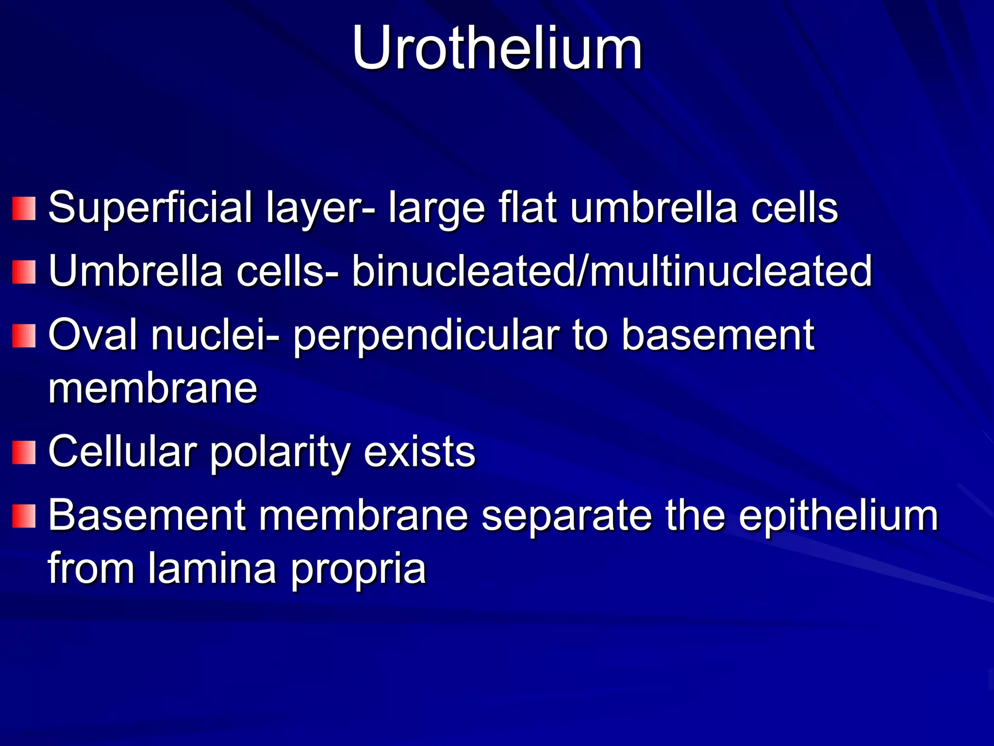 Bladder carcinoma | PPTX