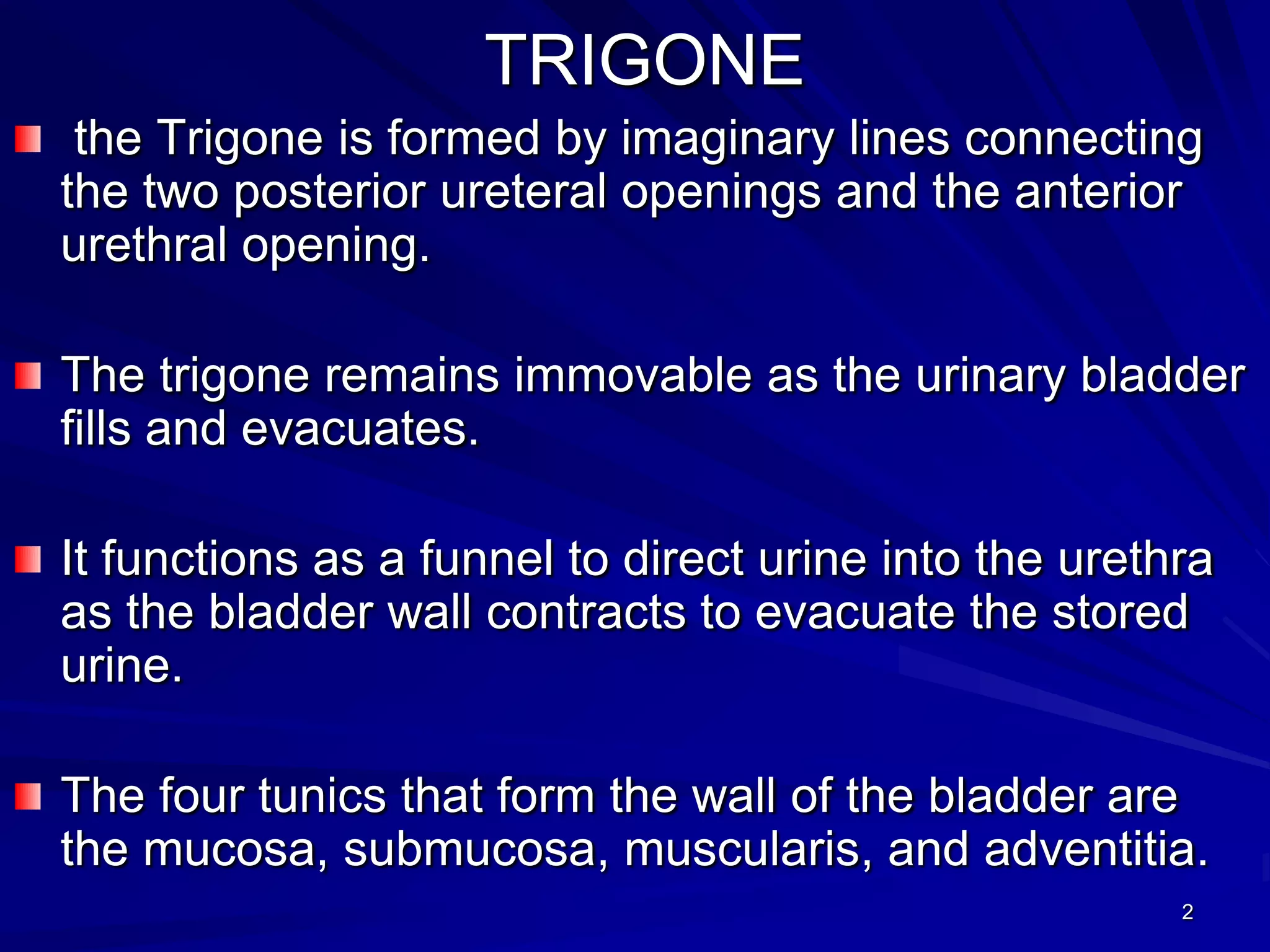 Bladder carcinoma | PPTX