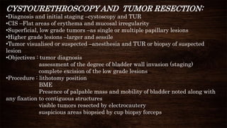 Bladder carcinoma | PPT
