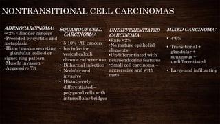 Bladder carcinoma | PPT