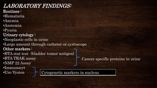 Bladder carcinoma | PPT