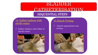 Bladder catheterisation / skill lab/- osce | PPT