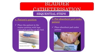 Bladder catheterisation / skill lab/- osce | PPT