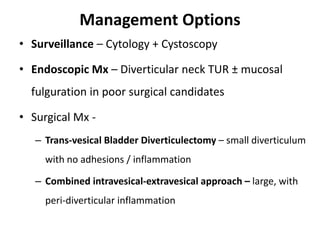 Bladder diverticulum | PPTX