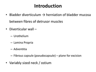 Bladder Diverticulum